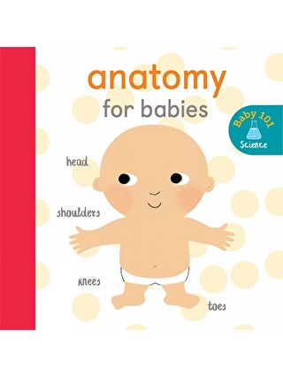 Little Tiger Press Baby 101: Anatomy for Babies - S000457578-23173 | LCW