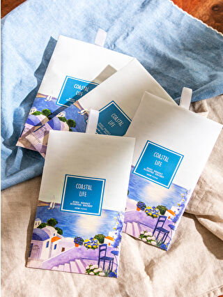 LCW HOME Karişik Azure Kokulu Koku Kesesi 4'lü - W4JD04Z8-F9C | LCW