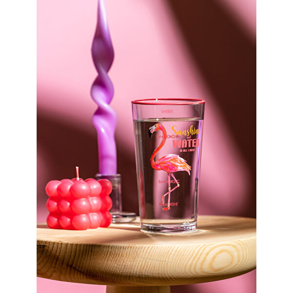 Flamingo Baskılı Cam Bardak 570 Ml Flamingo Baskılı Cam Bardak 570 Ml