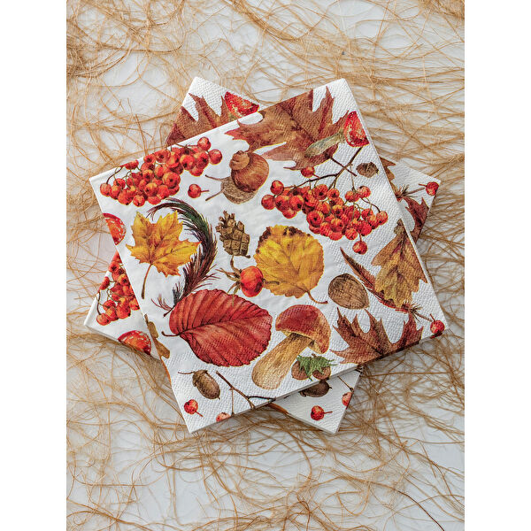 Baskılı Kağıt Peçete 20'li 33x33 Cm Baskılı Kağıt Peçete 20'li 33x33 Cm