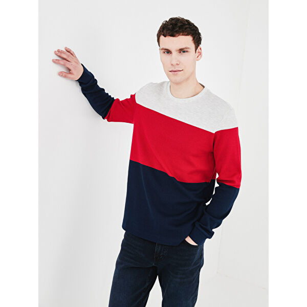 LCW CLASSIC Bisiklet Yaka Uzun Kollu Renk Bloklu Erkek Sweatshirt