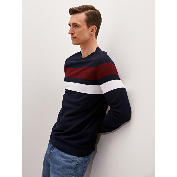 LCW CLASSIC Bisiklet Yaka Uzun Kollu Renk Bloklu Erkek Sweatshirt