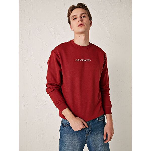LCW CASUAL Bisiklet Yaka Uzun Kollu Baskılı Kalın Erkek Sweatshirt LCW CASUAL Bisiklet Yaka Uzun Kollu Baskılı Kalın Erkek Sweatshirt