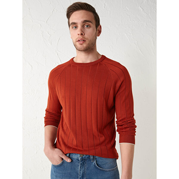 LCW CLASSIC Bisiklet Yaka Uzun Kollu Erkek Triko Kazak