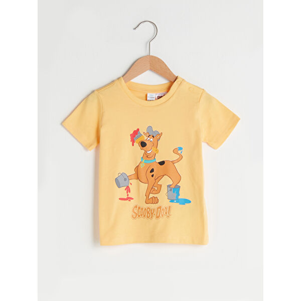 Bisiklet Yaka Kısa Kollu Scooby Doo Baskılı Pamuklu Erkek Bebek Tişört