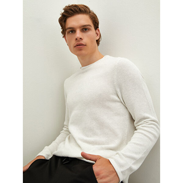 LCW CASUAL Bisiklet Yaka Uzun Kollu İnce Erkek Triko Kazak