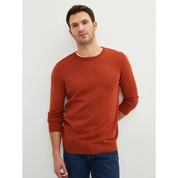 LCW BASIC Bisiklet Yaka Uzun Kollu İnce Erkek Triko Kazak