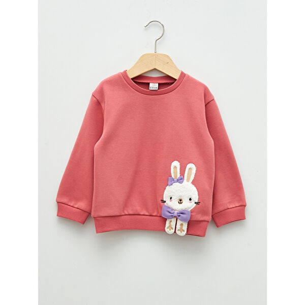 Bisiklet Yaka Uzun Kollu Nakışlı Kız Bebek Sweatshirt