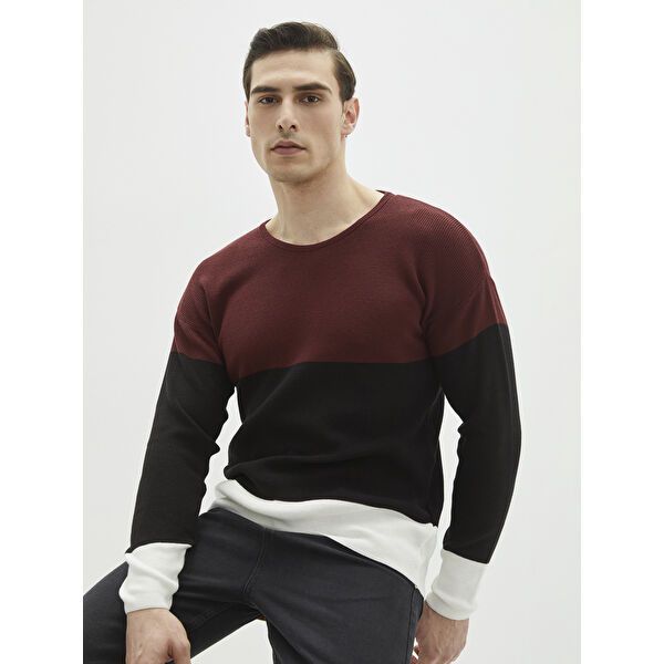 LCW CLASSIC Bisiklet Yaka Uzun Kollu Renk Bloklu Erkek Triko Kazak