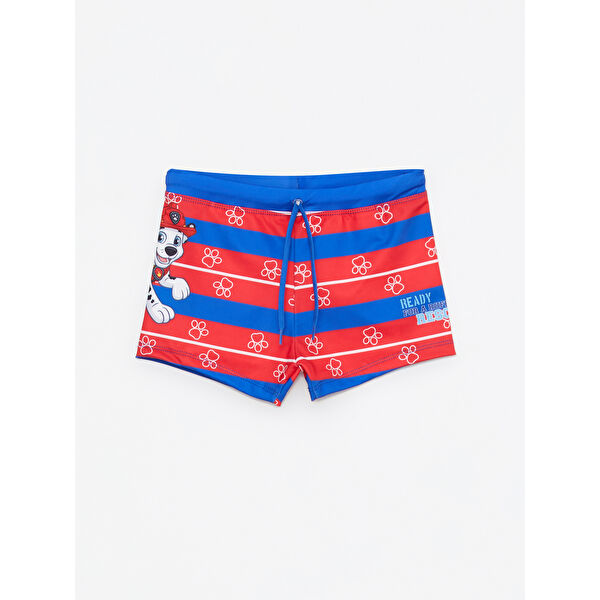 Paw Patrol Baskılı Hızlı Kuruyan Erkek Çocuk Boxer Mayo