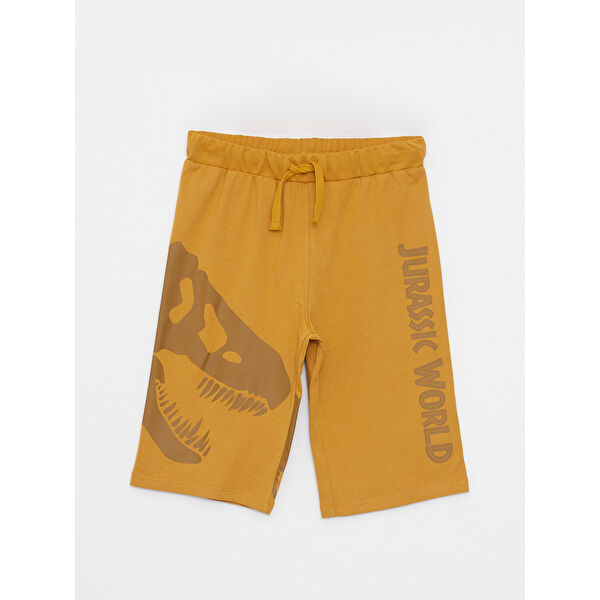 Beli Lastikli Jurassic World Baskılı Erkek Çocuk Roller Beli Lastikli Jurassic World Baskılı Erkek Çocuk Roller