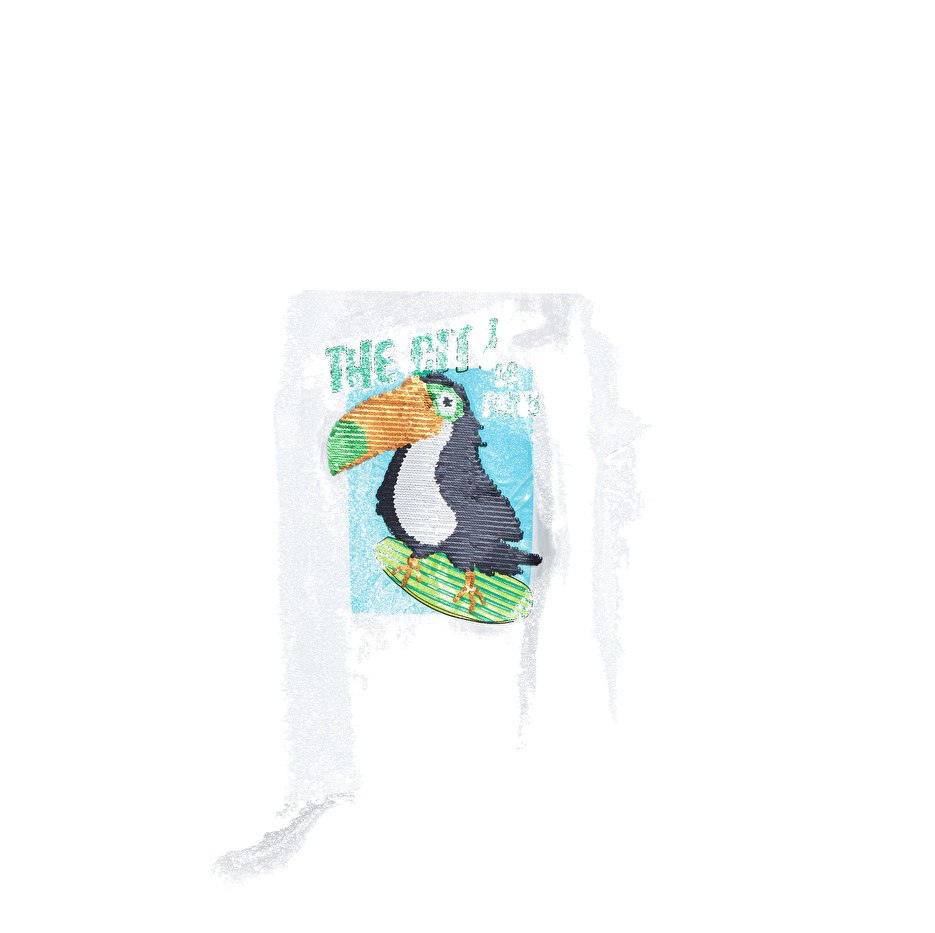 Bisiklet Yaka Baskılı Çift Yönlü Payetli Kısa Kollu Pamuklu Erkek Çocuk Tişört