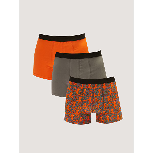 LCW DREAM Standart Kalıp Esnek Kumaş Erkek Boxer 3'lü