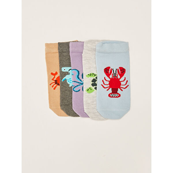 Desenli Erkek Çocuk Patik Çorap 5'li Desenli Erkek Çocuk Patik Çorap 5'li