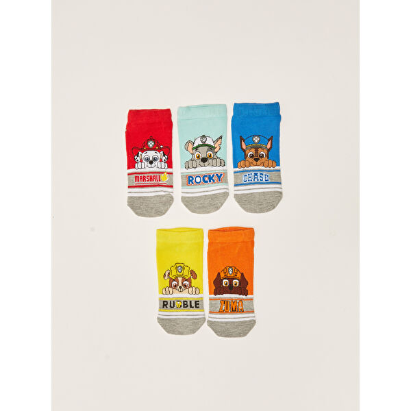 Paw Patrol Desenli Erkek Çocuk Patik Çorap 5'li