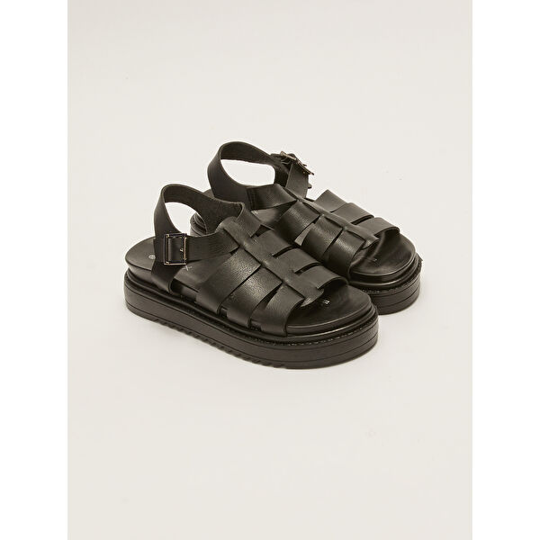 Deri Görünümlü Toka Detaylı Kalın Taban Kadın Sandalet Deri Görünümlü Toka Detaylı Kalın Taban Kadın Sandalet