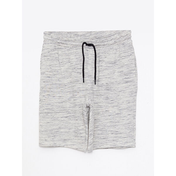 LCW CLASSIC Standart Kalıp Erkek Şort