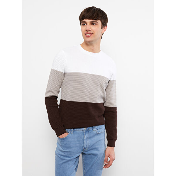 Bisiklet Yaka Uzun Kollu Renk Bloklu Erkek Triko Kazak