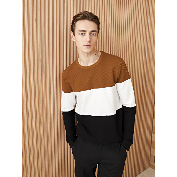 Bisiklet Yaka Uzun Kollu Renk Bloklu Erkek Sweatshirt