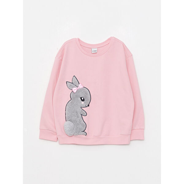 Bisiklet Yaka Nakışlı Uzun Kollu Kız Çocuk Sweatshirt