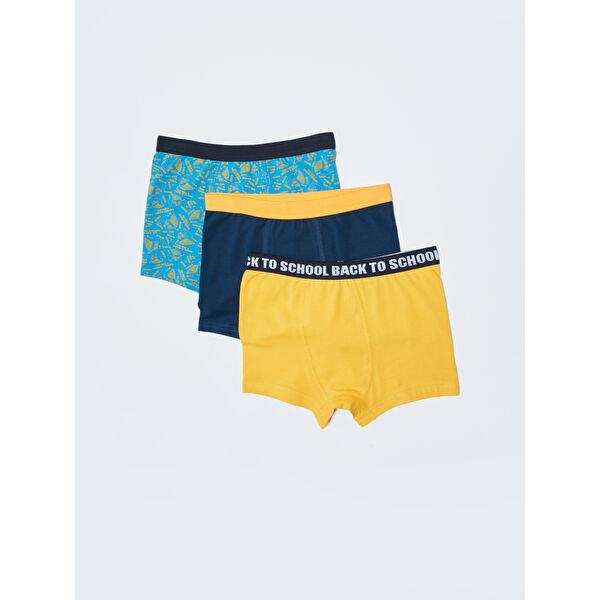 Baskılı Pamuklu Erkek Çocuk Boxer 3'lü