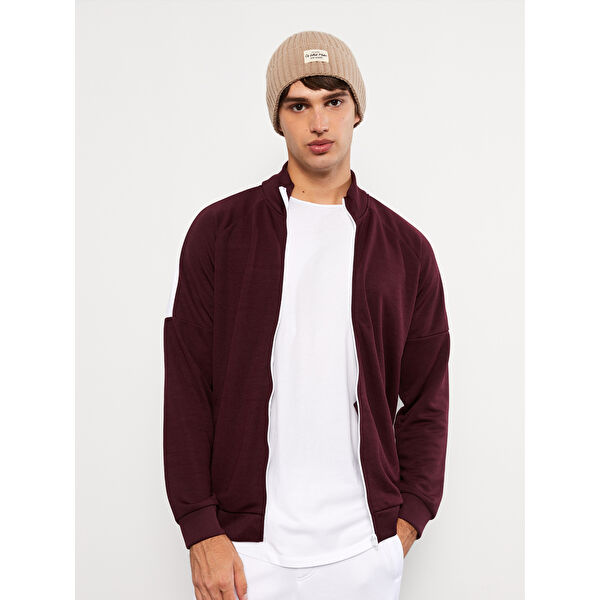 Standart Kalıp Dik Yaka Erkek Spor Hırka