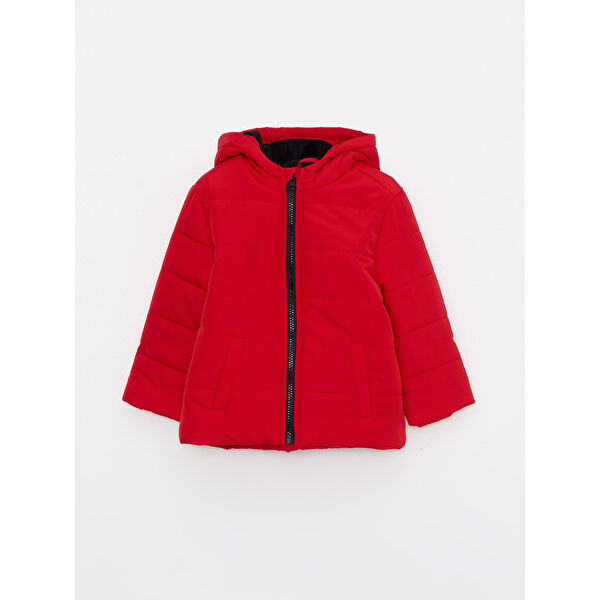 Kapüşonlu Uzun Kollu Basic Erkek Bebek Mont