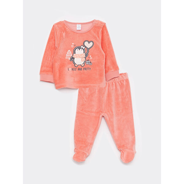 Bisiklet Yaka Uzun Kollu Nakış Detaylı Kız Bebek Kadife 2'li Takım Bisiklet Yaka Uzun Kollu Nakış Detaylı Kız Bebek Kadife 2'li Takım