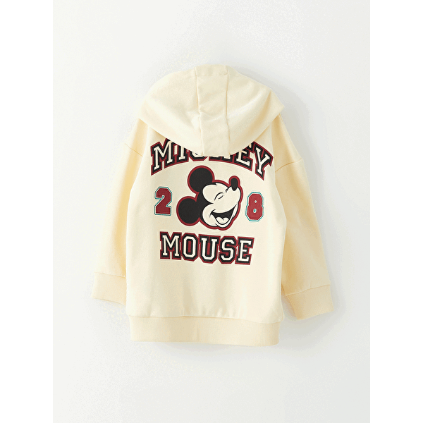 Kapüşonlu Uzun Kollu Nakış Detaylı Erkek Bebek Sweatshirt