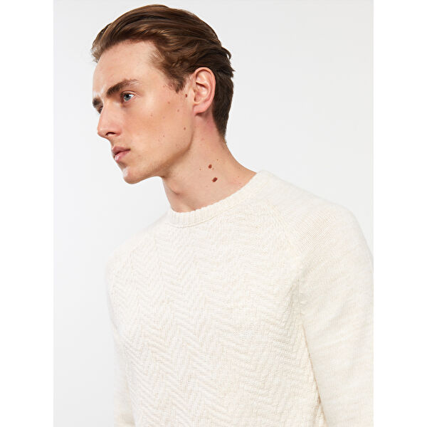 Bisiklet Yaka Uzun Kollu Kendinden Desenli Erkek Triko Kazak