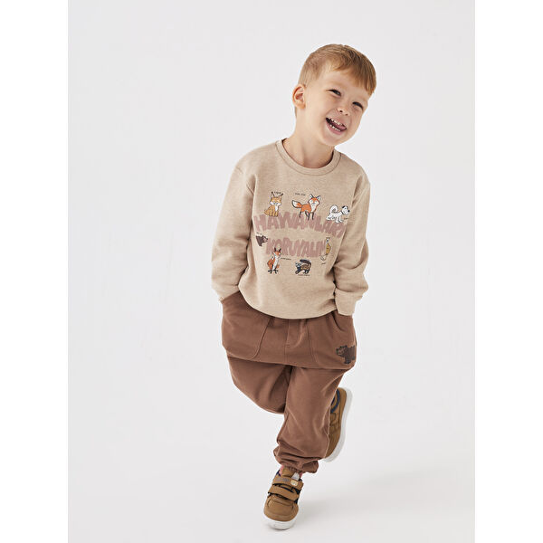 Bisiklet Yaka Uzun Kollu Baskılı Organik Pamuklu Erkek Bebek Sweatshirt