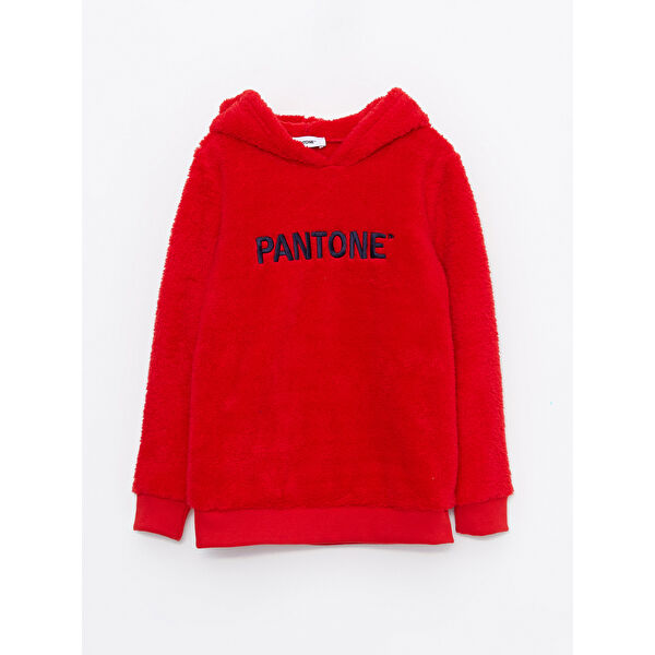 Kapüşonlu Nakışlı Uzun Kollu Unisex Çocuk Sweatshirt