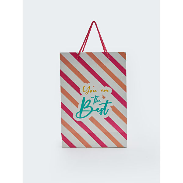 Baskılı Karton Hediye Çantası Baskılı Karton Hediye Çantası