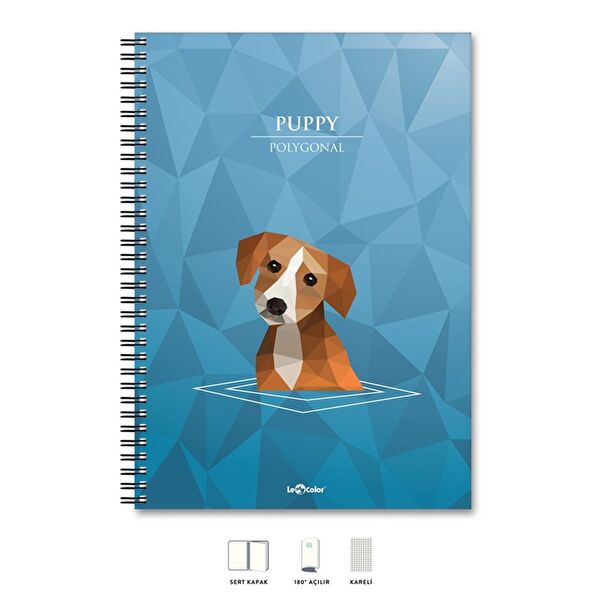 Baskılı Kareli Spiralli Defter Baskılı Kareli Spiralli Defter