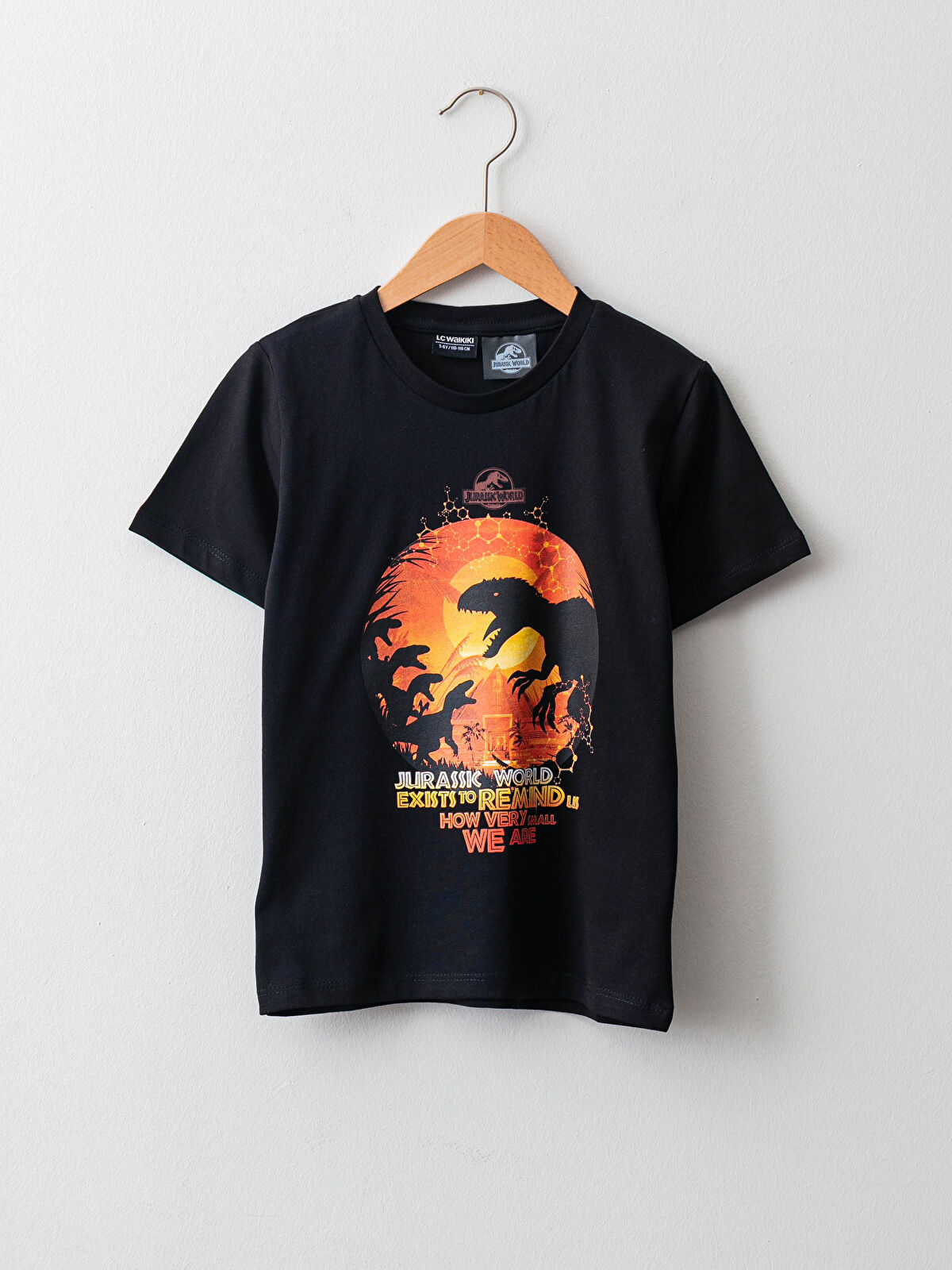 Bisiklet Yaka Jurassic World Baskılı Kısa Kollu Pamuklu Erkek Çocuk Tişört