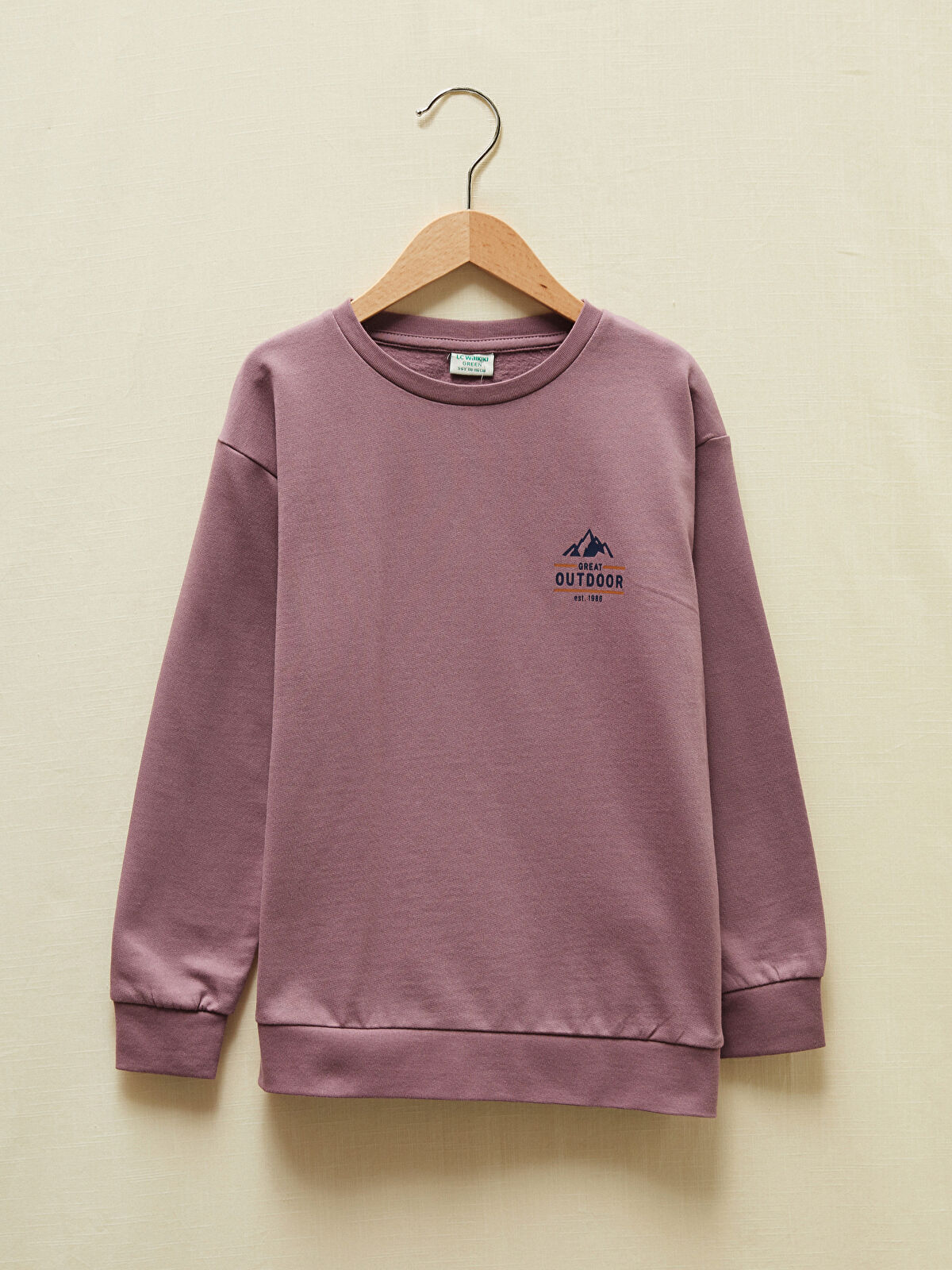 LCW GREEN Erkek Çocuk Organik Pamuklu Baskılı Sweatshirt