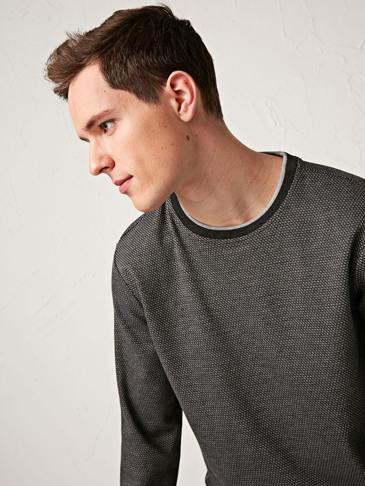 Rahat Kalıp Bisiklet Yaka Jakarlı Sweatshirt