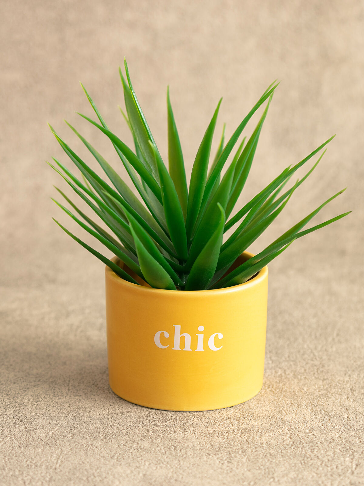 Baskılı Seramik Dekoratif Saksı 7x7x8 Cm