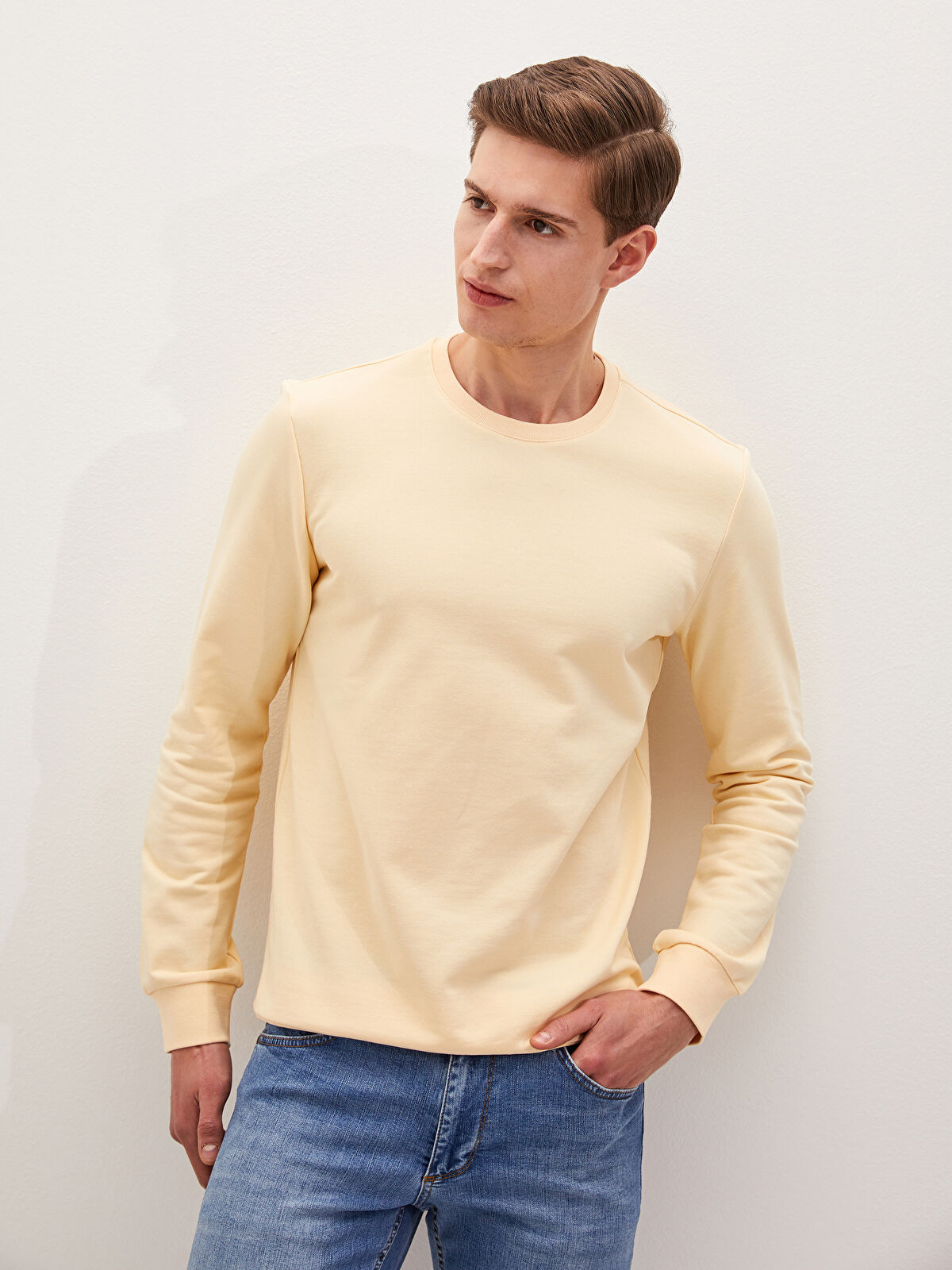 LCW BASIC Bisiklet Yaka Uzun Kollu Basic Erkek Sweatshirt