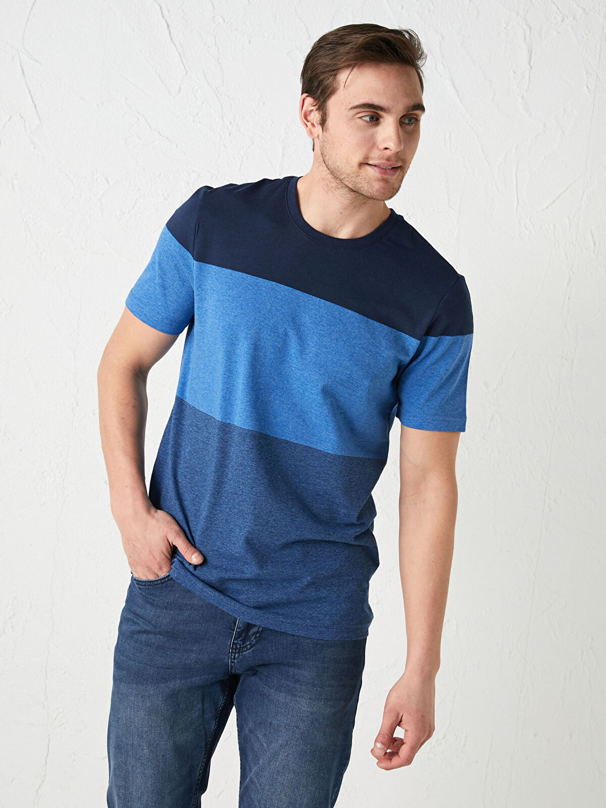 LCW CLASSIC Bisiklet Yaka Kısa Kollu Renk Bloklu Penye Erkek Tişört