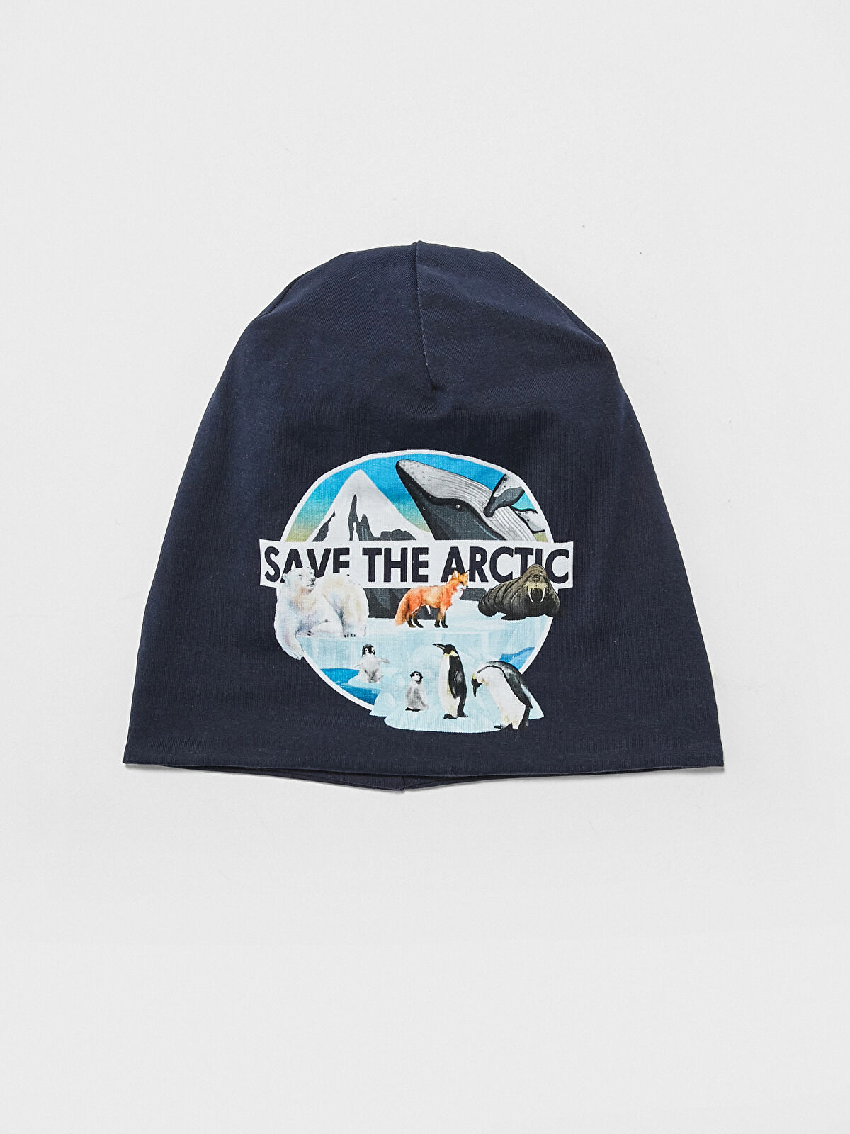 LCW GREEN Baskılı Erkek Çocuk Triko Bere