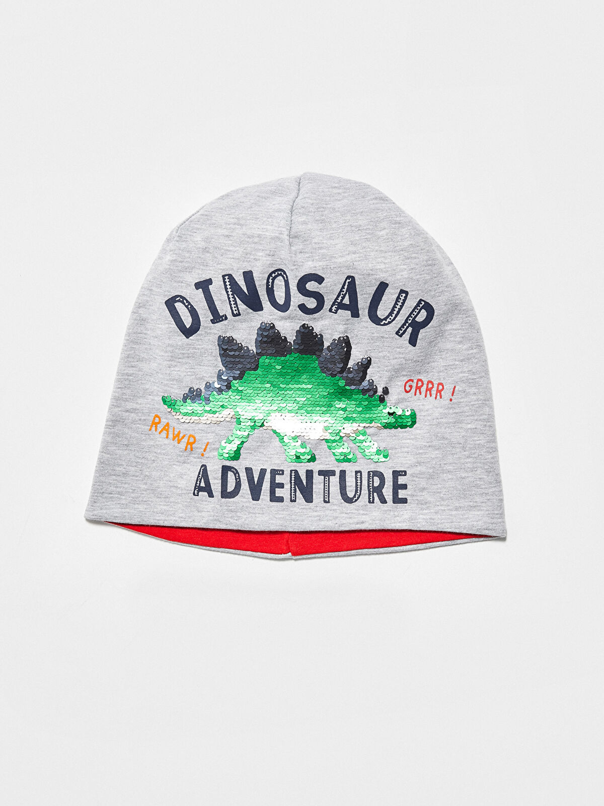 Erkek Çocuk Baskılı Triko Bere