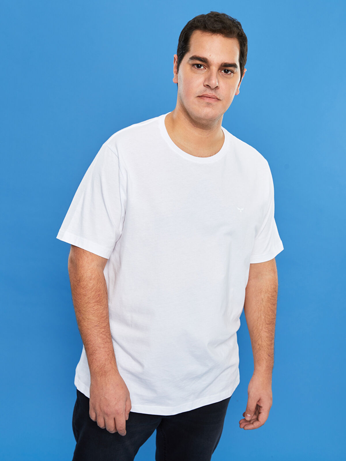 LCW BASIC Bisiklet Yaka Kısa Kollu Penye Büyük Beden Erkek Tişört