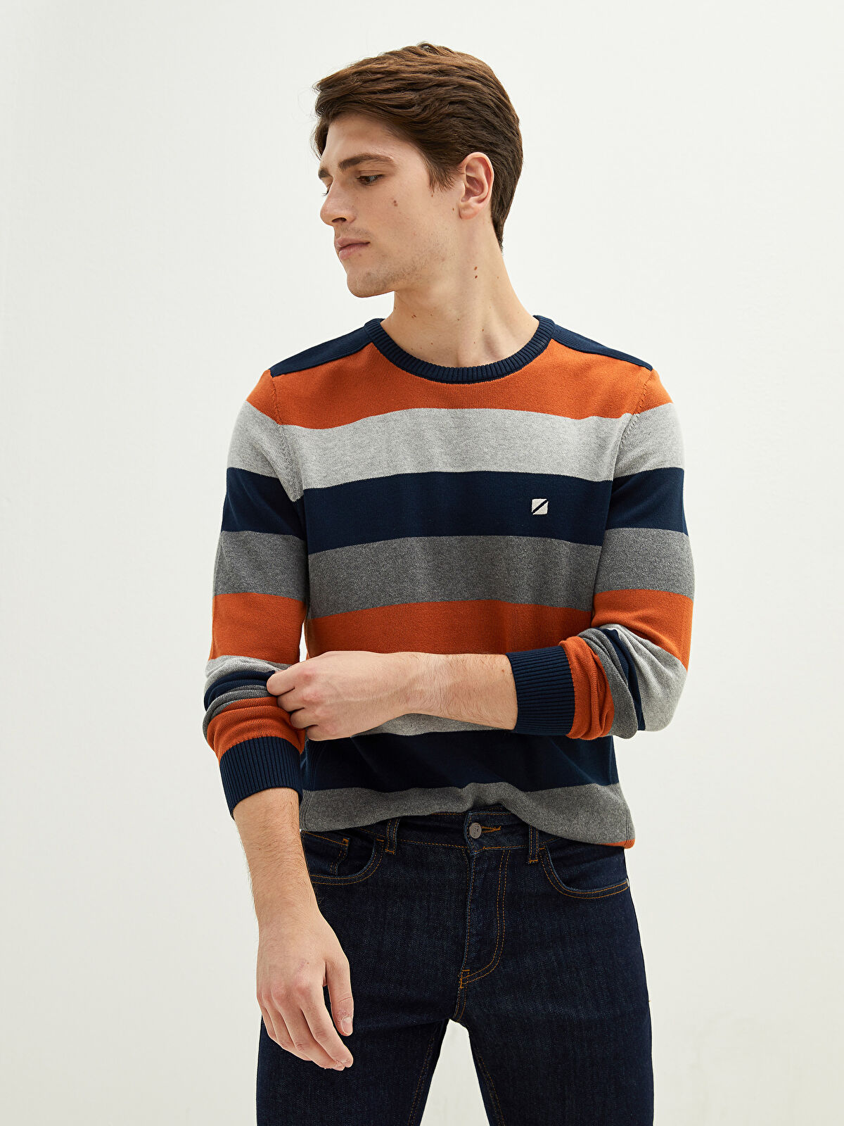 LCW CLASSIC Bisiklet Yaka Uzun Kollu Renk Bloklu Erkek Triko Kazak