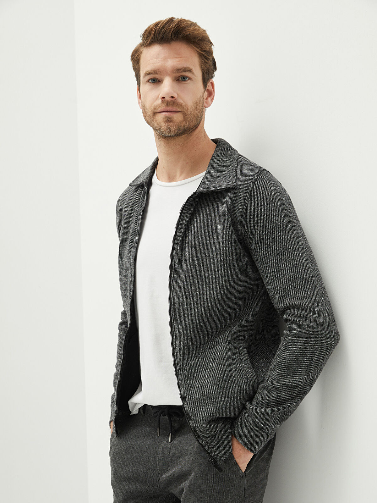 LCW CLASSIC Rahat Kalıp Polo Yaka Uzun Kollu Erkek Spor Hırka