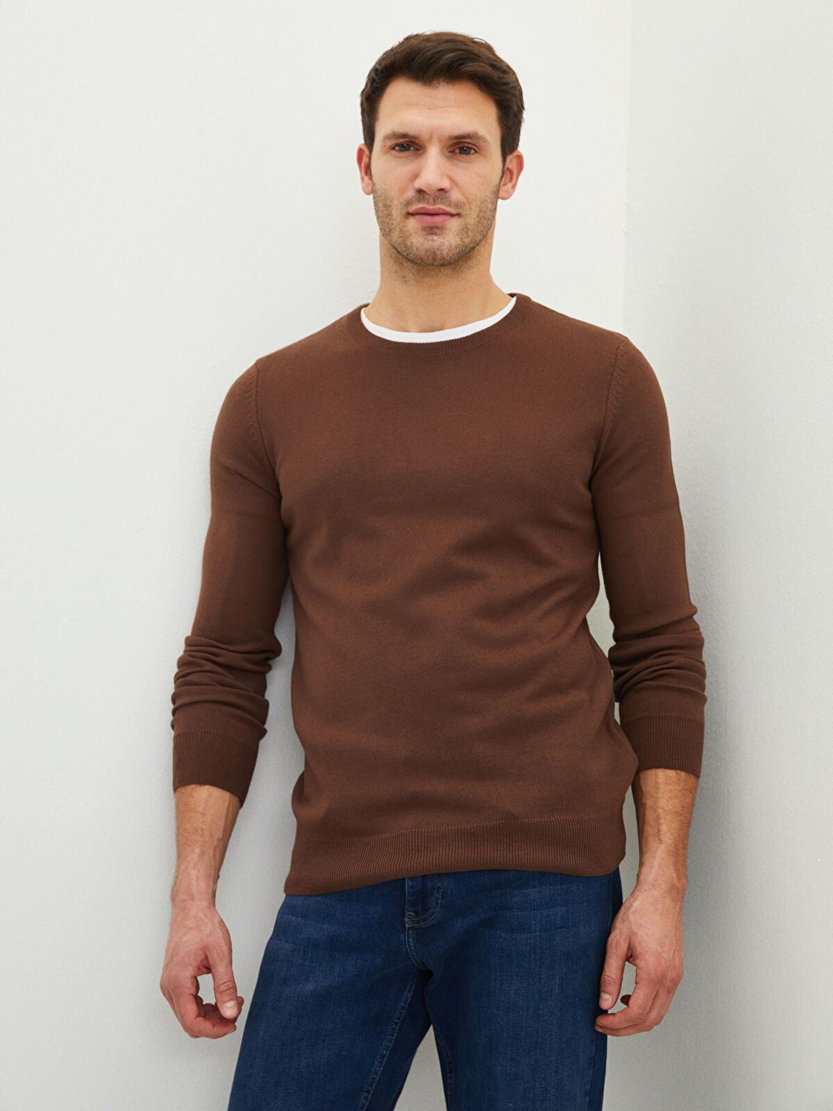 LCW BASIC Bisiklet Yaka Uzun Kollu İnce Erkek Triko Kazak