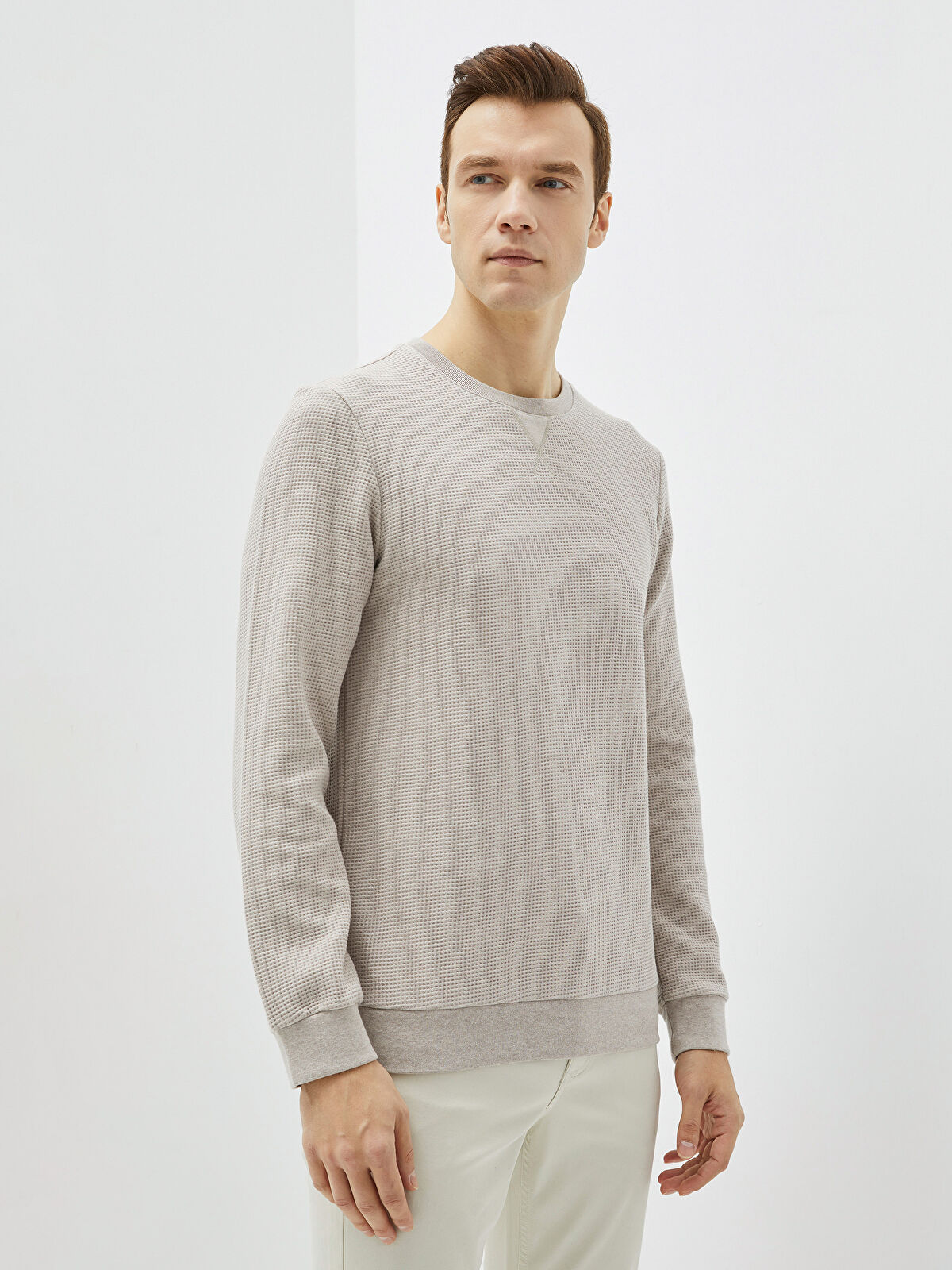 LCW BASIC Bisiklet Yaka Uzun Kollu Erkek Sweatshirt
