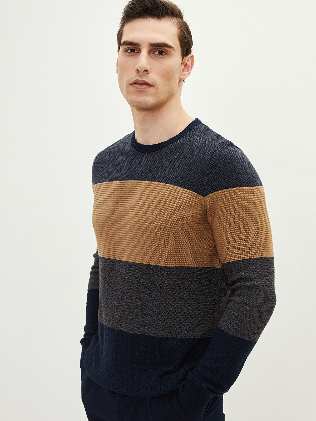 LCW CLASSIC Bisiklet Yaka Uzun Kollu Renk Bloklu Erkek Triko Kazak