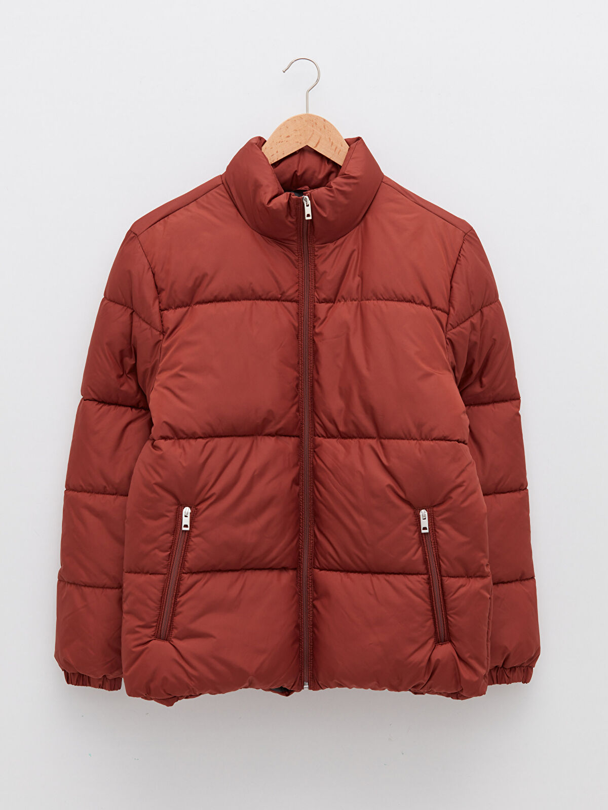 LCW VISION Slim Fit Dik Yaka Erkek Şişme Mont