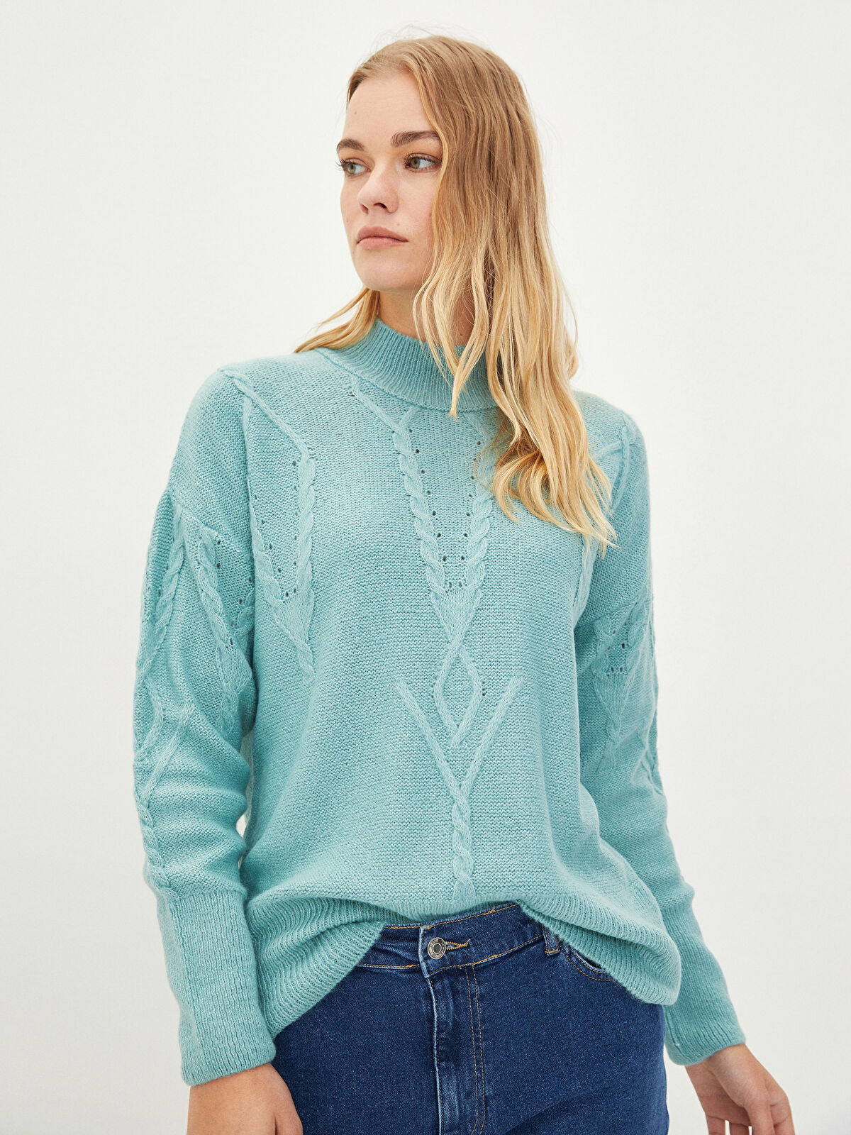 LCW CLASSIC Yarım Balıkçı Yaka Kendinden Desenli Uzun Kollu Kadın Triko Kazak